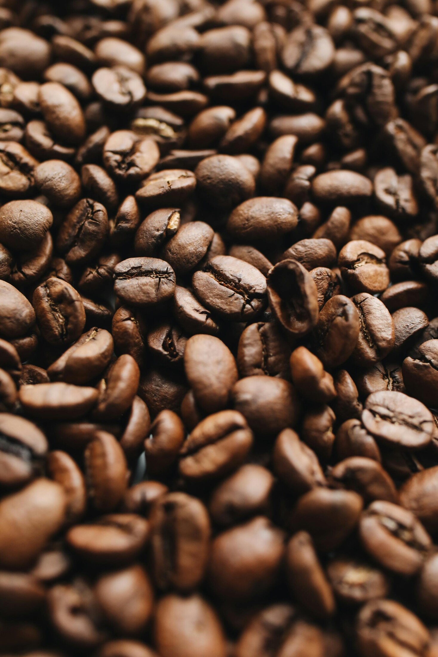 SPECIALITY COFFEE - Grand Permata Hijau